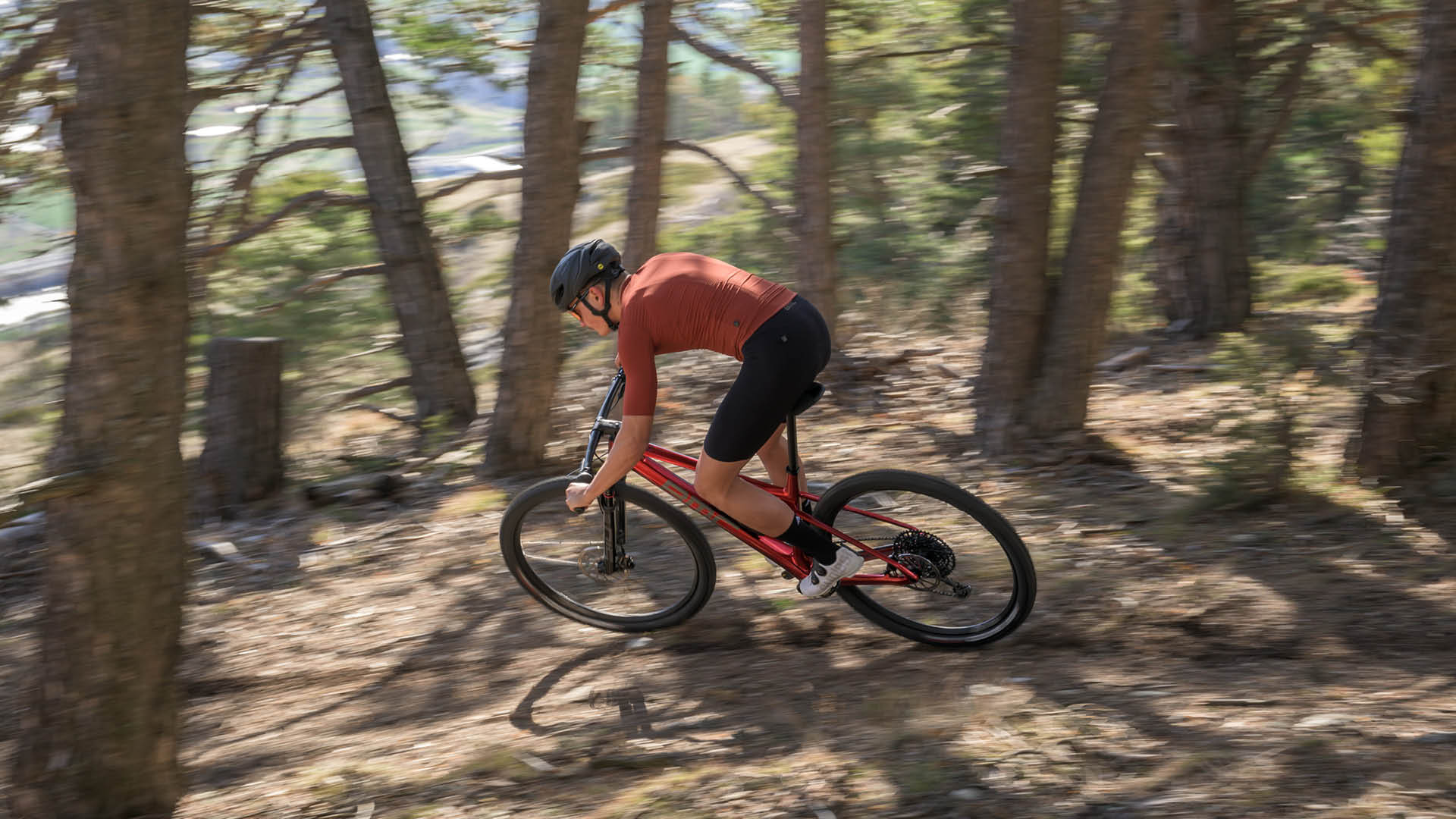 Collections – BMC Switzerland AG